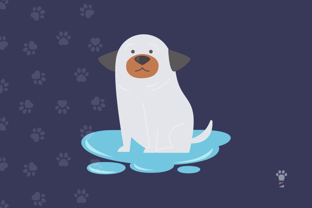 Client Relations In Pet Grooming: How To Deal With Difficult Pet Owners ...